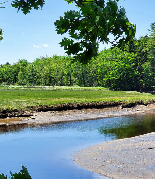 wetland road trip maine FTR