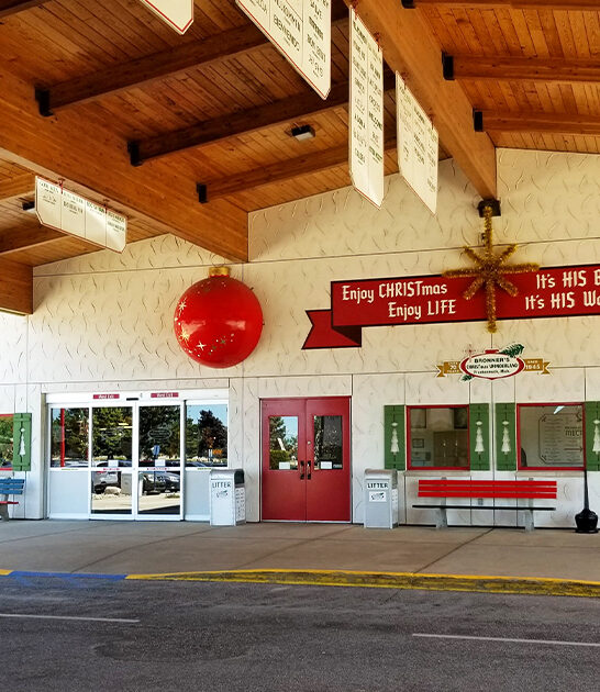 whimsical shops michigan ftr