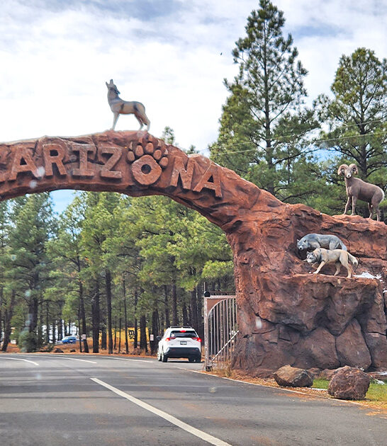 wildlife park arizona ftr