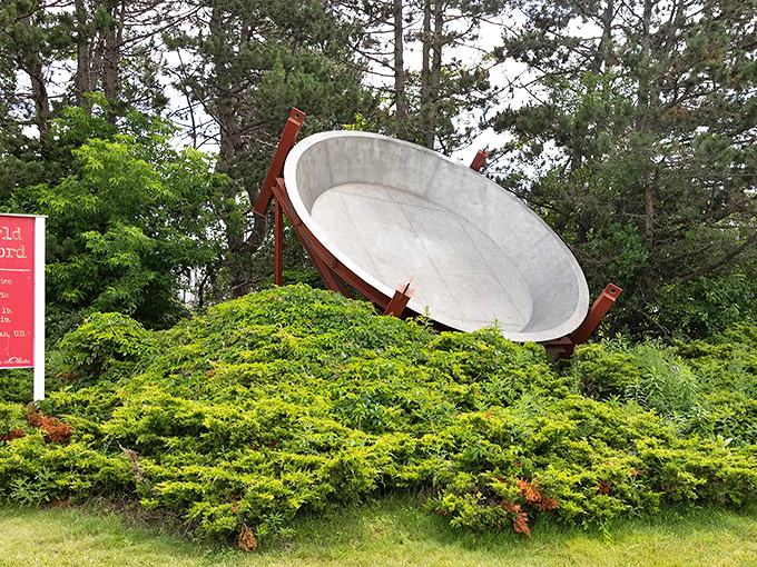 Behold the behemoth! This colossal cherry pie pan could double as a spaceship landing pad or the world's most ambitious birdbath.