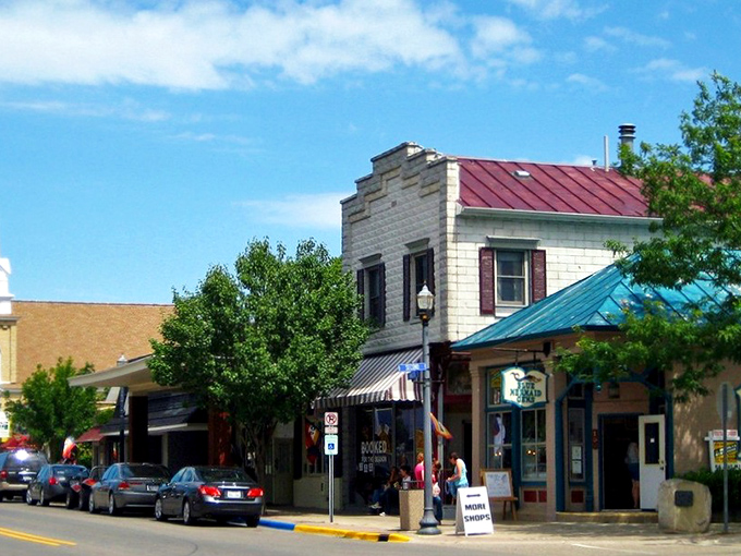 Pentwater: Where nature decided to show off and create a postcard-perfect town. This aerial view captures the essence of coastal living, complete with a marina that's basically boat heaven.