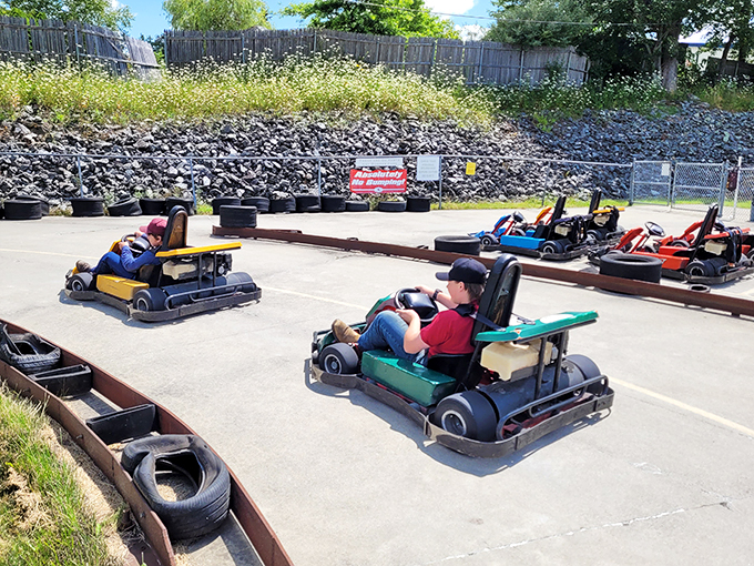 Buckle up, speed demons! These colorful chariots are your ticket to reliving those Fast and Furious dreams &ndash; minus Vin Diesel's biceps.