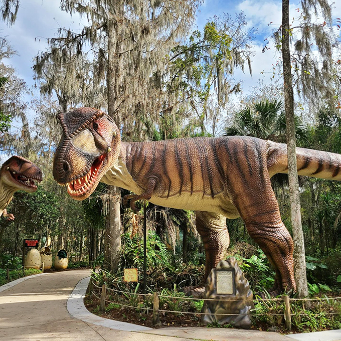 "Welcome to Jurassic Park!" Err, I mean Dinosaur World. Life-sized dinos loom over lush Florida greenery, making you wonder if you've stumbled onto a movie set.