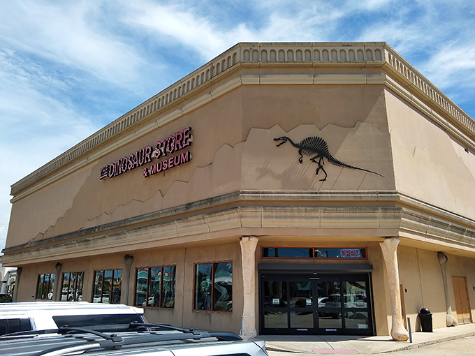 Welcome to Jurassic Park... er, The Dinosaur Store! This Cocoa Beach gem is where prehistory meets Florida sunshine.