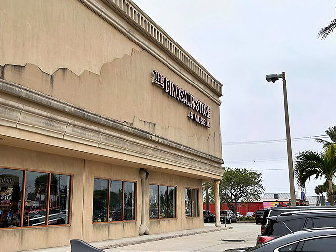 Welcome to Jurassic Park&hellip; er, The Dinosaur Store! This Cocoa Beach gem is where prehistory meets Florida sunshine.