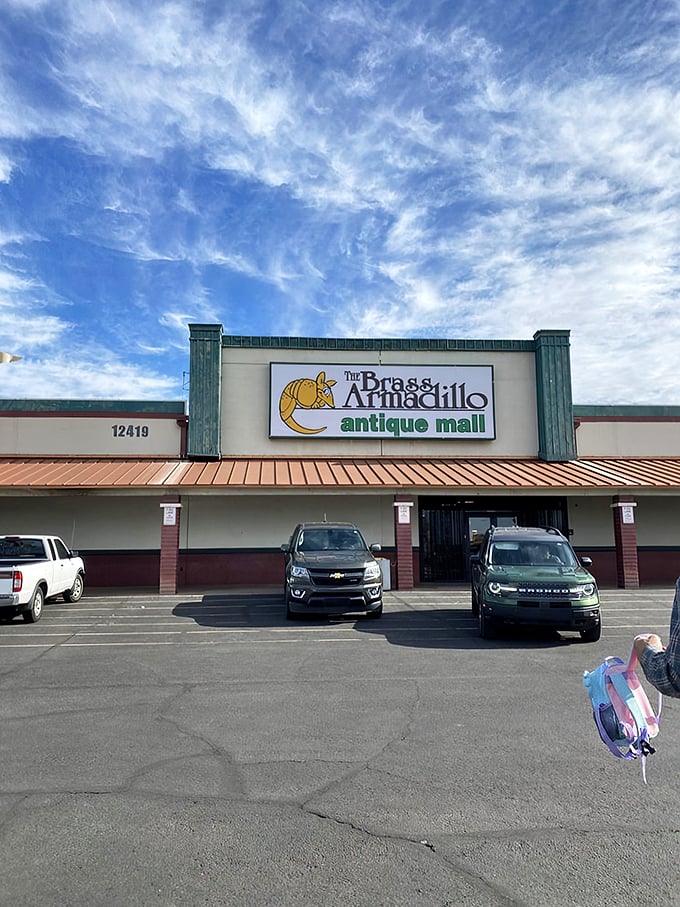 Welcome to the Brass Armadillo, where time travel is just a shopping trip away! This unassuming exterior hides a world of wonders waiting to be discovered.