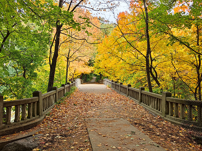 Nature's grand entrance! Matthiessen State Park welcomes you with a trail so picturesque, it's like Mother Nature's own red carpet.