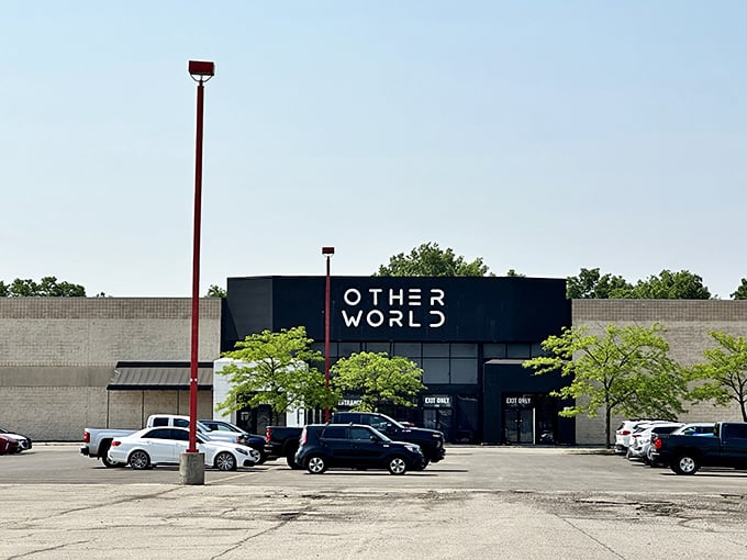 "Welcome to Otherworld: Where strip mall meets sci-fi spectacle. Prepare to have your mind blown and your Instagram feed filled!"