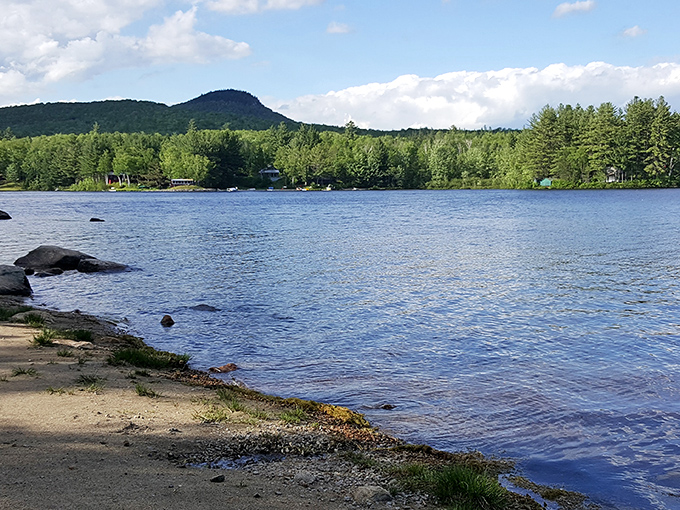 Nature's canvas unfurls: Stillwater State Park welcomes you with a symphony of colors. Autumn's brushstrokes paint the trees, while the lake mirrors the sky's azure hue.