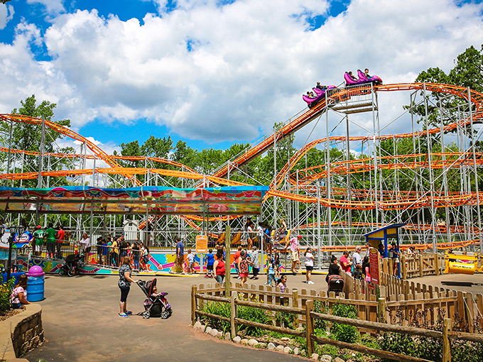 Roller coaster dreams come true! This twisting track promises more loops than your grandma's crochet project.
