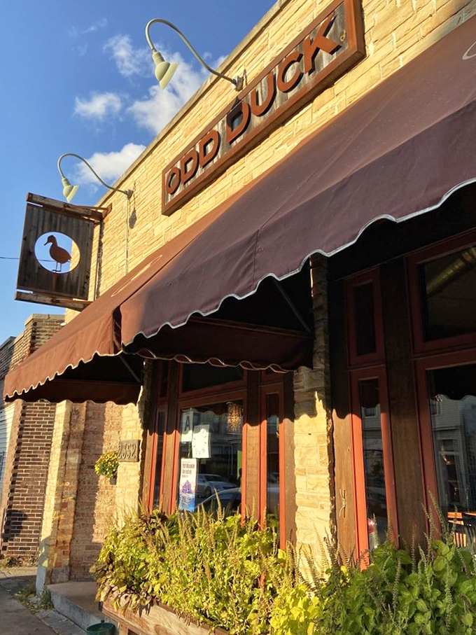Odd Duck: Where culinary adventure meets charming ambiance in Milwaukee's Bay View neighborhood.