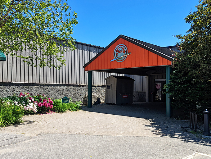 Welcome to the Owls Head Transportation Museum, where history meets horsepower! This vintage beauty greets visitors like a time-traveling valet service.