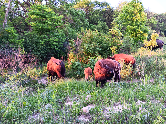Nature's own IMAX! This wonder puts on a show that'll make you forget about your Netflix queue.