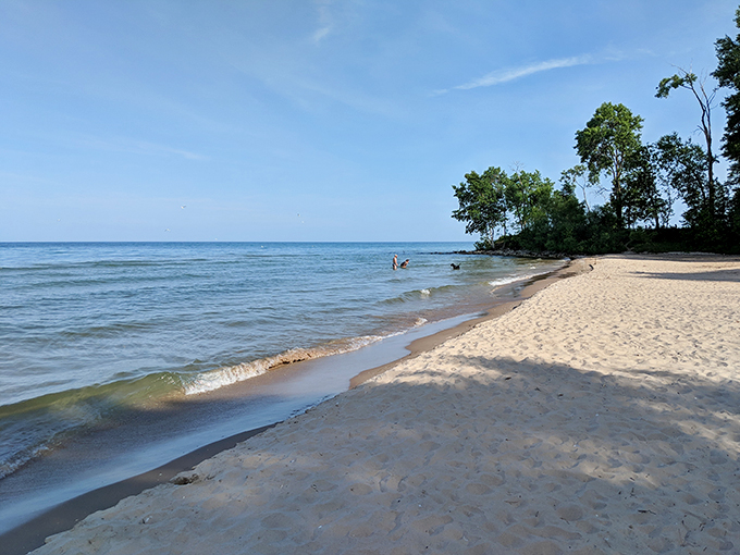 Who needs the Caribbean? Wisconsin's got its own slice of paradise right here!" Pristine sands meet crystal-clear waters at Harrington Beach, where relaxation is always on the menu.