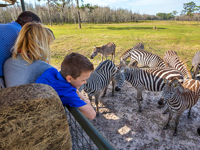 1 welcome to safari wilderness ranch