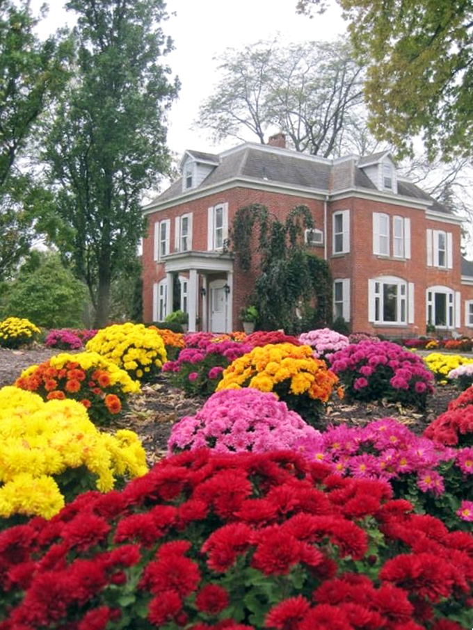 A portal to paradise! These vibrant flowers welcome you to Schedel's Japanese Garden, where tranquility reigns supreme.