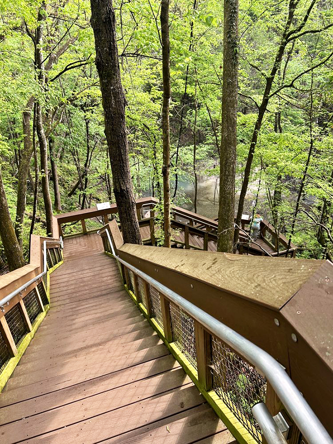 Stairway to Heaven? Not quite, but this wooden wonder might just lead you to geological paradise! 
