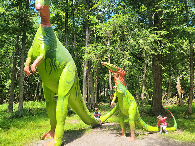 Welcome to the land before time! This gentle giant invites you to climb aboard for a prehistoric adventure.