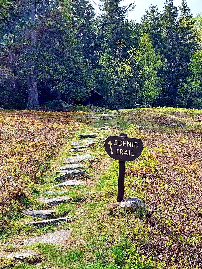 "Scenic Trail" ahead? More like "Scenic Thrill"! This path promises adventure with every step, no GPS required.