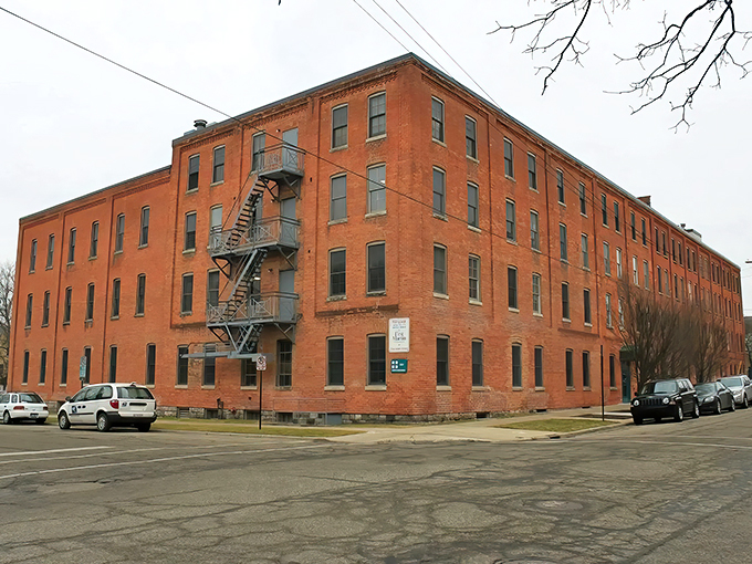 The Argus Building stands like a brick-and-ivy time capsule, inviting curious souls to step into a world where memories are frozen in film.