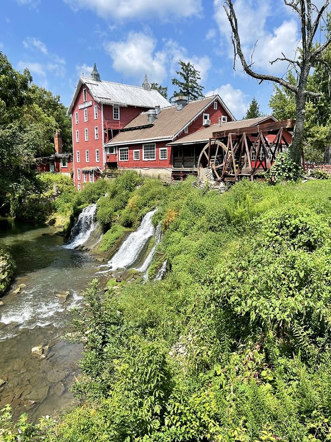 A postcard-perfect scene: Clifton Mill stands proudly, its red facade a vibrant contrast to the cascading waterfalls and lush greenery. Nature's own HGTV makeover!
