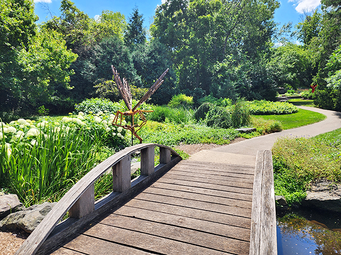 A bridge to tranquility! This wooden walkway invites you to leave your worries behind and step into a world where nature reigns supreme.