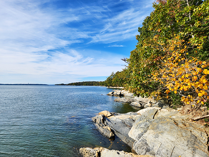 Nature's canvas unfolds: Casco Bay's serene waters meet rugged shores, creating a masterpiece that would make Bob Ross proud.