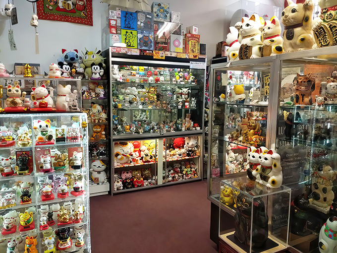 Step into a feline wonderland! This narrow corridor is a cat lover's dream, packed with more lucky charms than a leprechaun's garage sale.