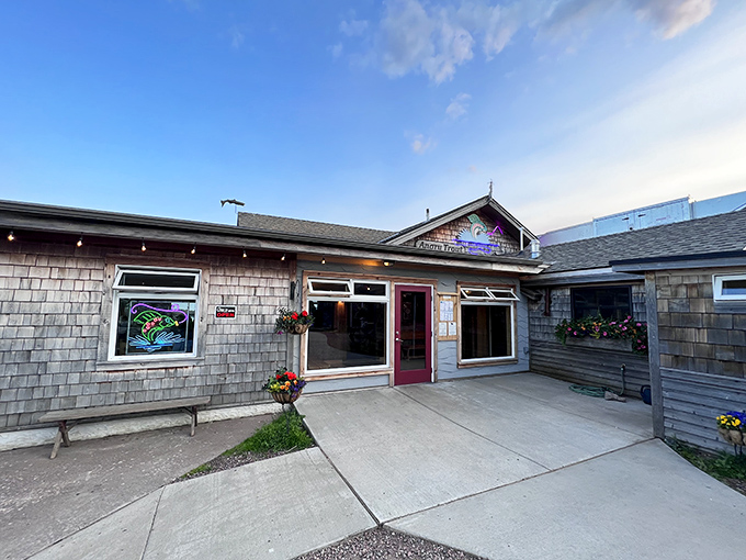 Welcome to the Angry Trout Cafe, where the fish are fresh and the trout&hellip; well, they're not really angry. Just deliciously prepared!