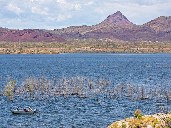 Nature's canvas unfolds: Alamo Lake, where the desert meets water in a breathtaking display of Arizona's hidden treasures.