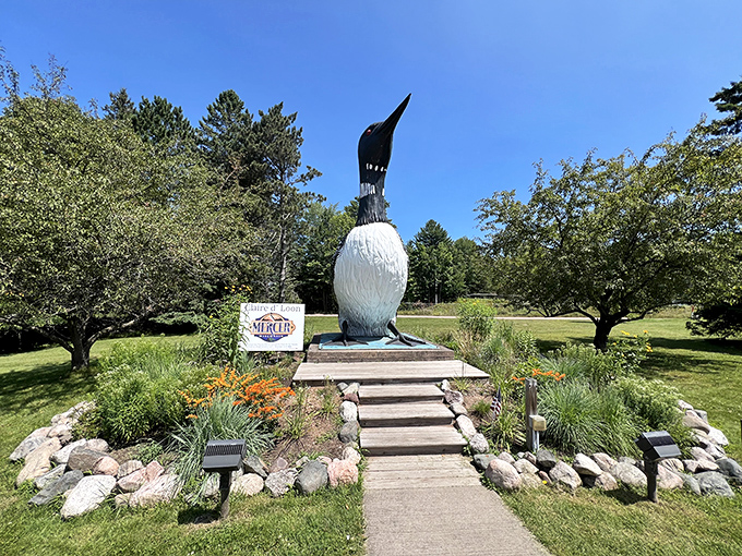 Behold, the bird that put Mercer on the map! Claire d' Loon stands tall, ready to chat your ear off about Wisconsin's natural wonders.