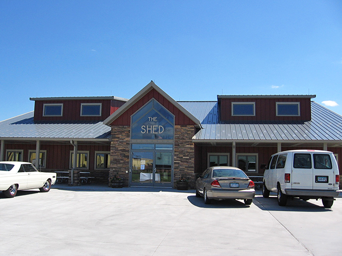 Welcome to The Shed, where classic cars come to retire in style. This automotive oasis is like a five-star resort for vintage vehicles!