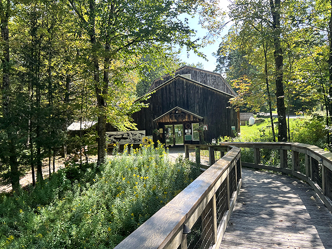 A rustic wooden walkway leads to nature's theater, where Vermont's feathered stars await their admirers behind barn-style doors.