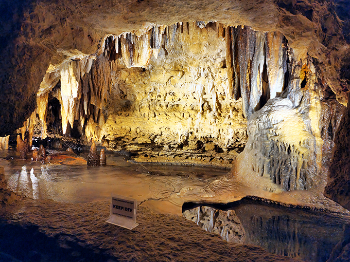 Nature's own Sistine Chapel! Stalactites and stalagmites create a limestone masterpiece that would make Michelangelo jealous. Who knew Wisconsin was hiding such underground glamour?
