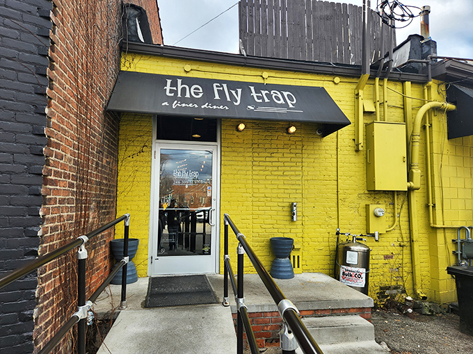 Yellow brick road? Nah, just the path to breakfast nirvana! The Fly Trap's vibrant exterior is like a beacon for hungry souls.