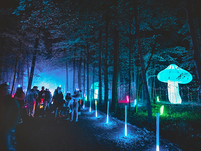 Step into a neon dreamscape! This luminous trail feels like you've stumbled into Tron's backyard, minus the digital bad guys.