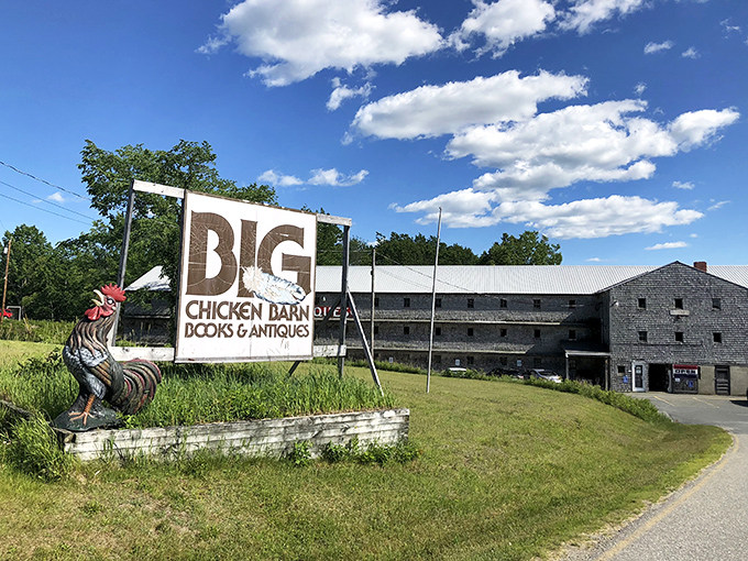 "Big Chicken Barn Books" - a siren song for bibliophiles everywhere. This weathered barn holds more stories than a season of "Stranger Things."
