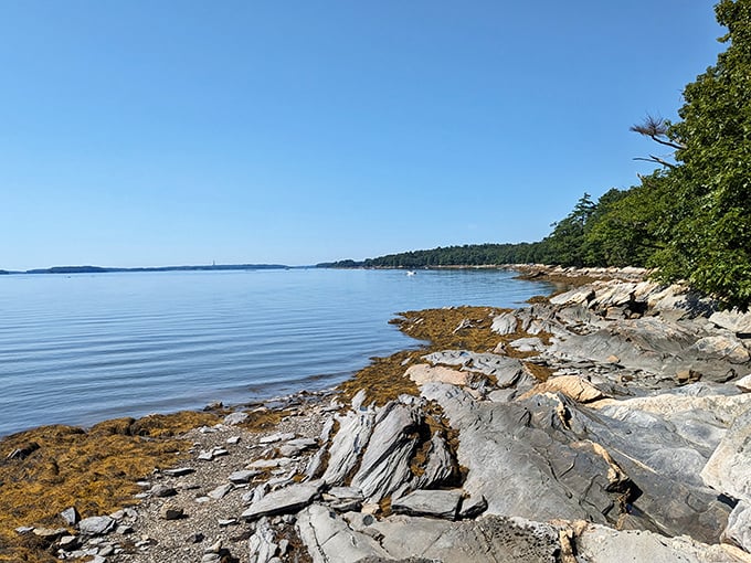 Nature's canvas unfolds: Casco Bay's serene waters meet rugged shores, creating a masterpiece that would make Bob Ross proud.