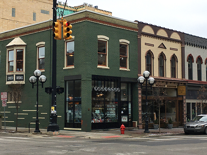 A literary oasis in the heart of Ann Arbor! This emerald gem houses more stories than your grandmother's photo album.