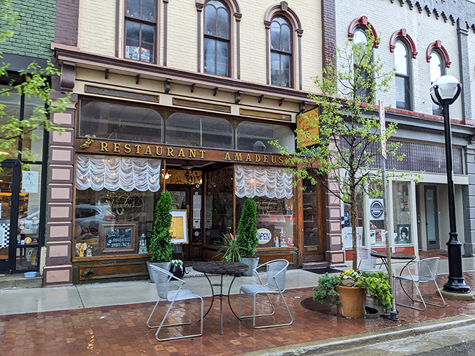 Step into a European fairytale! Amadeus beckons with its charming facade, lace curtains, and vibrant flowers &ndash; a slice of Old World magic on a bustling Ann Arbor street.