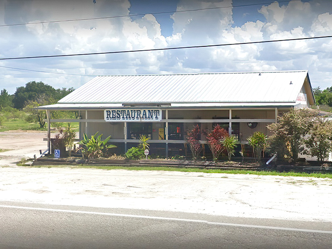 Welcome to Route 60 Diner, where nostalgia comes with a side of sass and the biscuits are fluffier than a cloud's daydream.