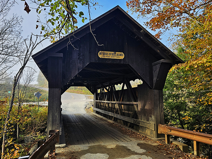 Step into a time machine, Vermont-style! This charming covered bridge is like a wooden DeLorean, minus the flux capacitor and plus a whole lot of rustic charm.