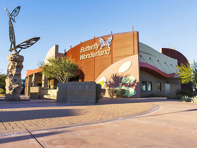 Welcome to butterfly paradise! This vibrant exterior is like a cocoon ready to burst with colorful wings and wonder.