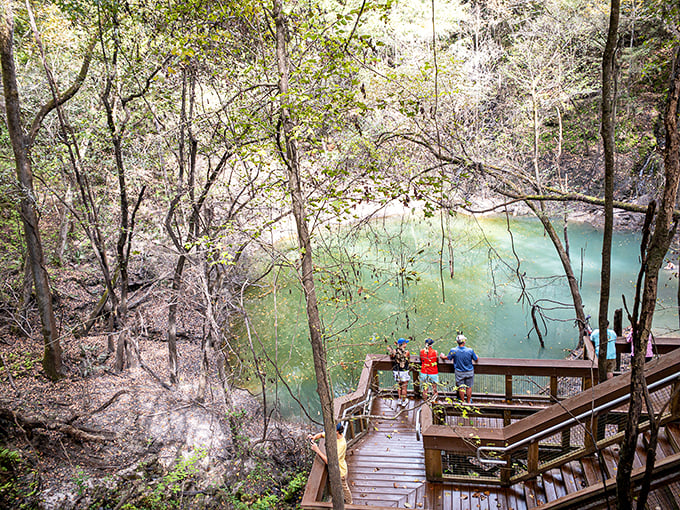 Stairway to Heaven? Not quite, but this wooden wonder might just lead you to geological paradise!