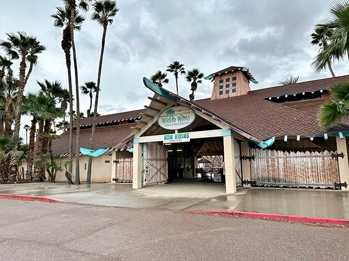 Welcome to the jungle... in Arizona? This rustic entrance promises wild adventures beyond its wooden gates.