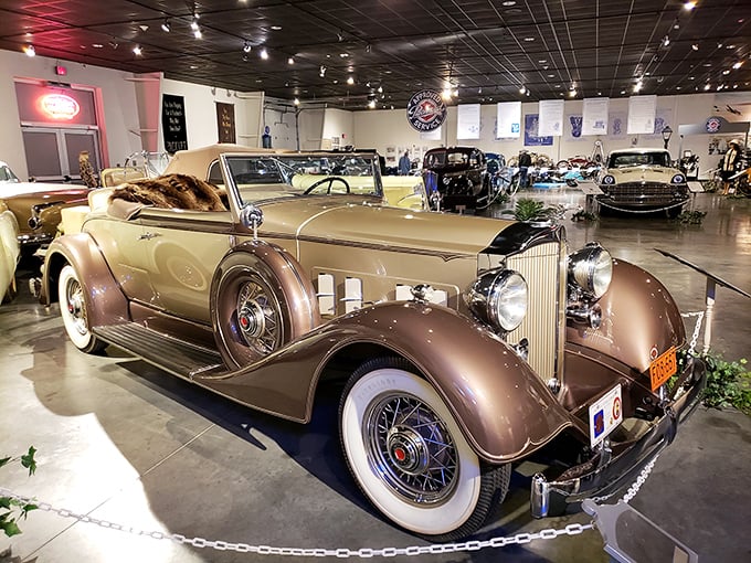 Welcome to automotive heaven! Inside the National Packard Museum lies a treasure trove of automotive history that'll make your gearhead heart skip a beat.