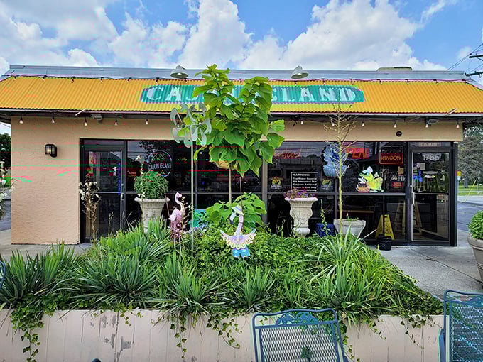 Welcome to flavor paradise! Cajun Island's vibrant exterior promises a culinary adventure that'll make your taste buds do the cha-cha. Laissez les bons temps rouler!