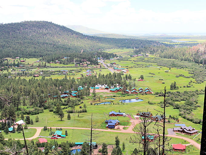 Welcome to Greer, where the road less traveled leads to postcard-perfect views and small-town charm that'll make you want to cancel your return ticket.