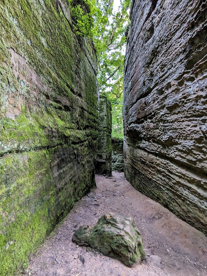 Nature's skyscrapers! These towering rock formations make you feel like you've stumbled into a geological Jurassic Park. Just don't expect any T-Rexes around the corner.