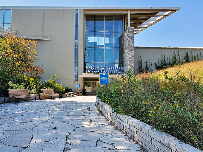 A modern oasis of nature beckons! The Peggy Notebaert Nature Museum's sleek exterior blends seamlessly with its lush surroundings, promising a wild adventure in the heart of the city.